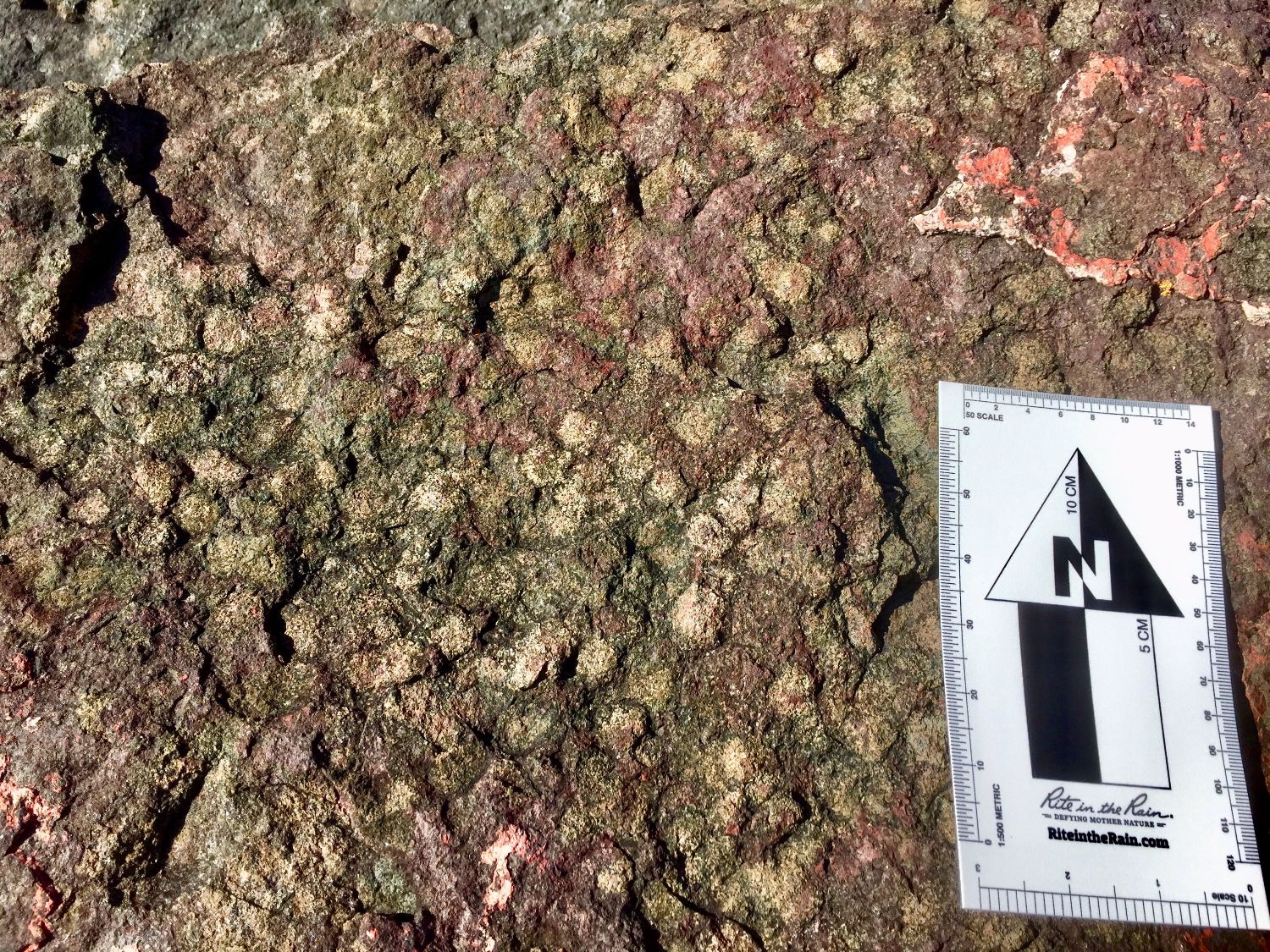 Weathered ophitic texture found in outcrop at Lookout Louise, Isle ...