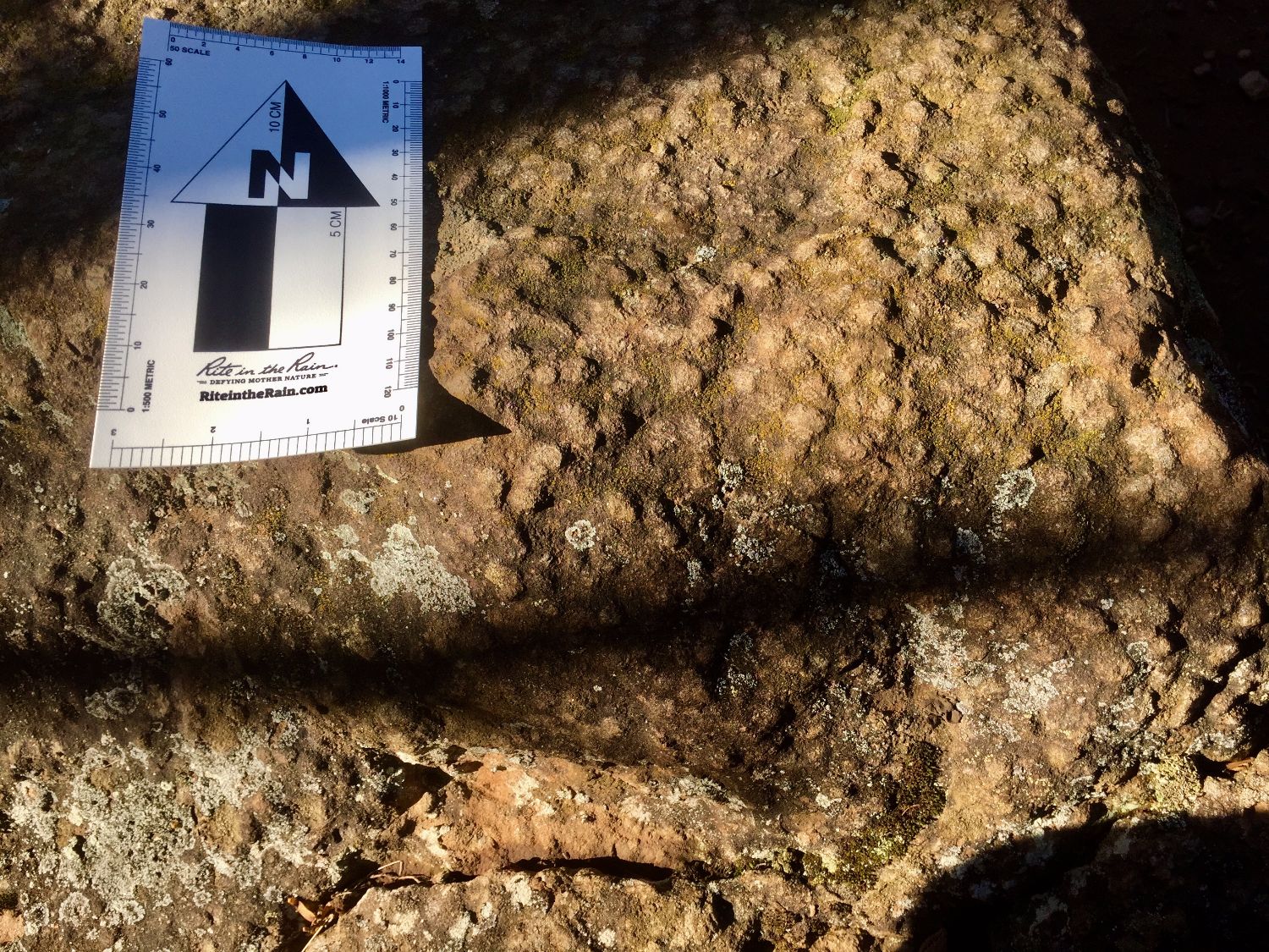 Lower ophite outcrop of the Greenstone flow observed at Lookout Louise ...